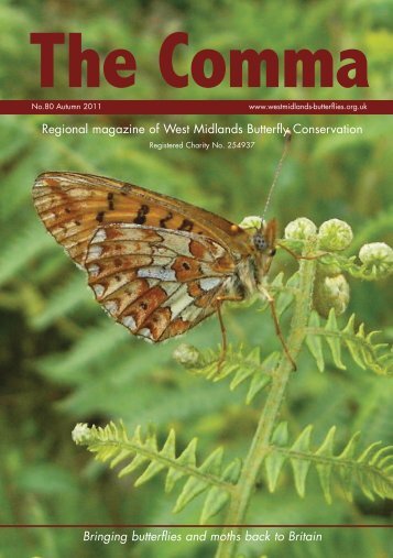 Butterfly Magazines