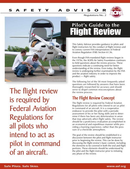Pilot's Guide to the Flight Review Safety Advisor