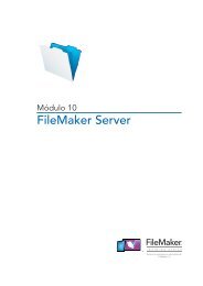 Uso de FileMaker Pro