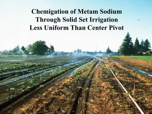 Chemigation of Metam Sodi