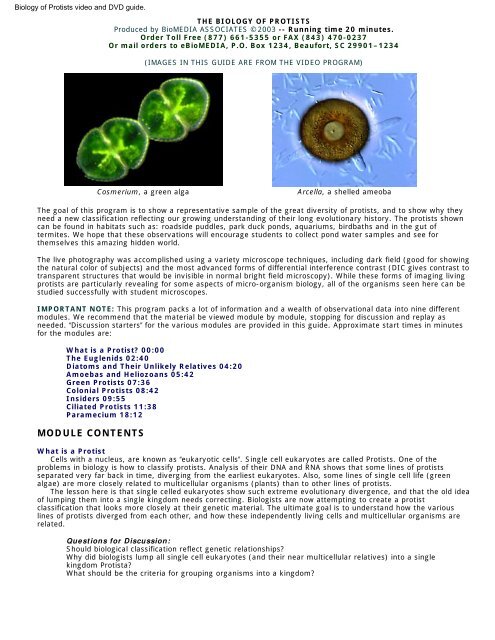 Alternation Of Generations Protists