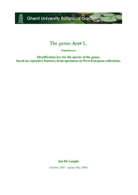 Genus acer Identification Key - Genus acer web