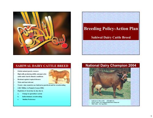 Breeding Policy-Action Plan Sahiwal Dairy Cattle Breed