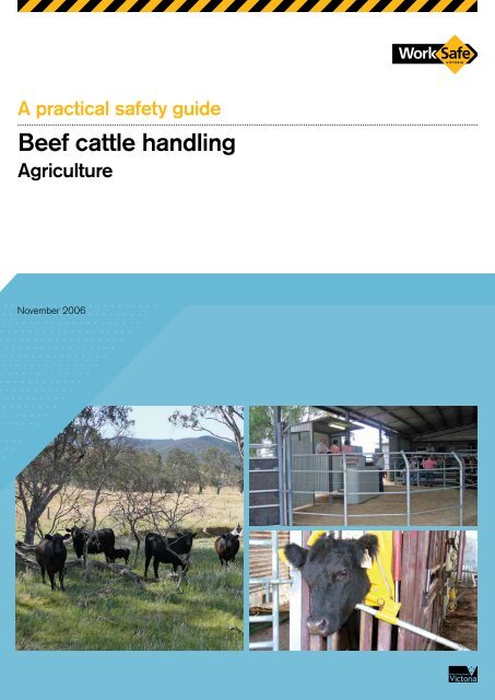 Beef Cattle Handling: A Practical Safety Guide - WorkSafe Victoria