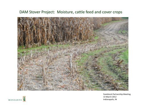 DAM Stover Project: Moisture, cattle feed and cover crops