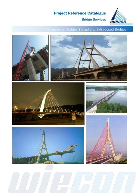 1-Suspension-Cable Stayed-Extradosed Bridges - wiecon