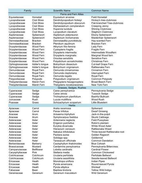 Examples Of Common Names And Scientific Names
