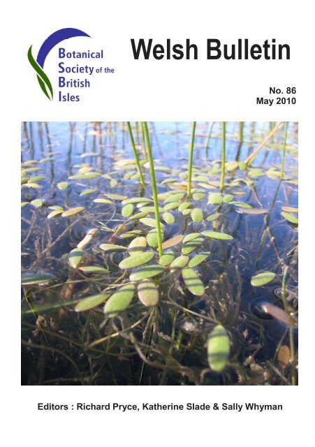 pdf 1.4 MB - BSBI Archive