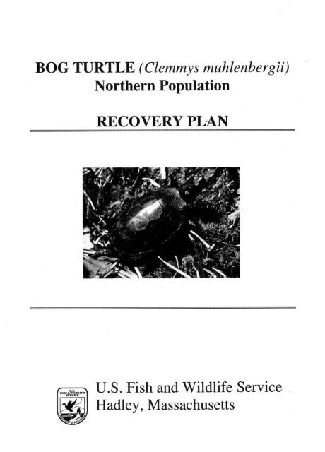 BOG TURTLE (Clemmys muhlenbergii) - U.S. Fish and Wildlife Service