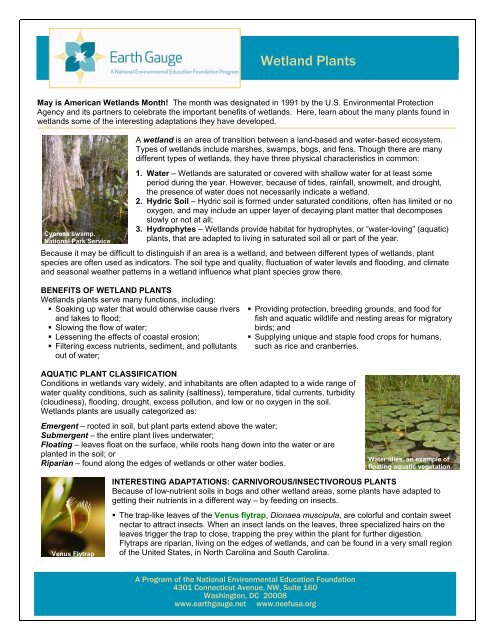 EG Wetland Plants - Earth Gauge