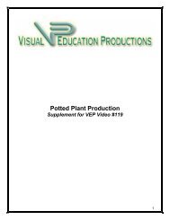 Cattle Breed ID: COMPOSITES - II - CEV Multimedia
