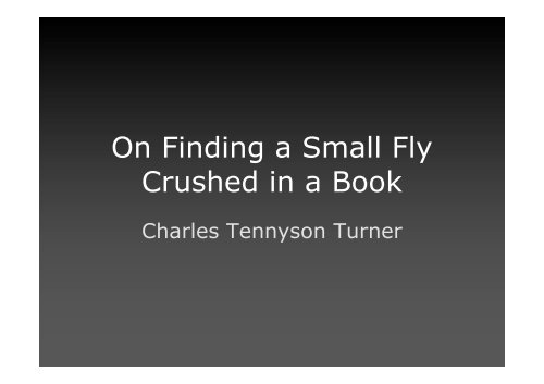 On Finding a Small Fly Crushed in a Book - 12 E1 Cambridge English
