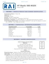 HT Mastic 500® - RAI