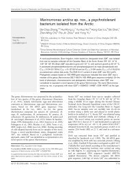 Arthrobacter flavus sp. nov., a psychrophilic bacterium isolated from ...