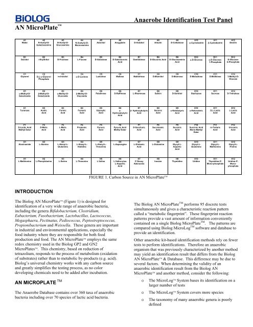 Anaerobe Identification Test Panel AN MicroPlate™ - Biolog Inc.