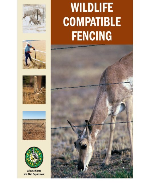 Guidelines for Wildlife Friendly Fencing - Arizona Game and Fish ...