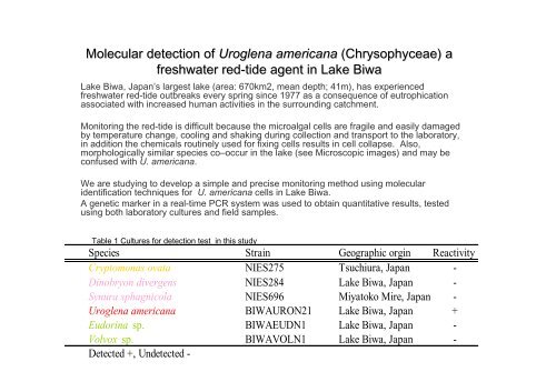 Molecular detection of Uroglena americana (Chrysophyceae) a ...
