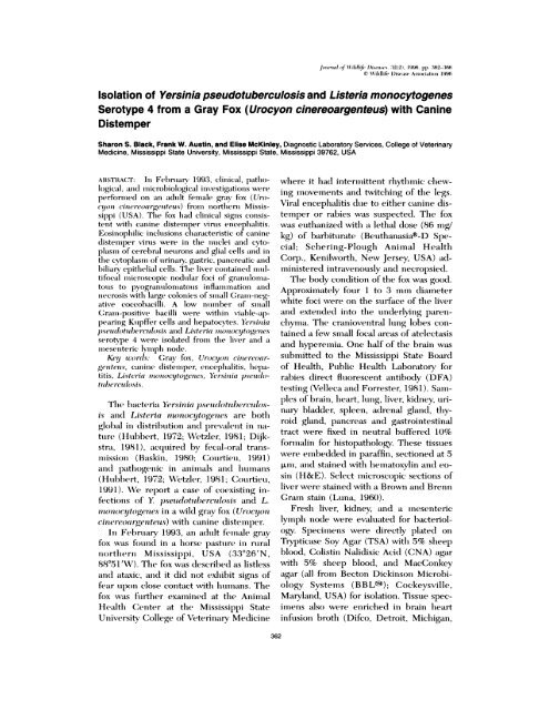 Isolation Serotype 4 from a Gray Fox (Urocyon with Canine Distemper