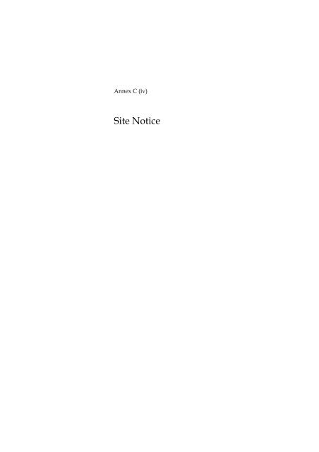 Annex Template - ERM