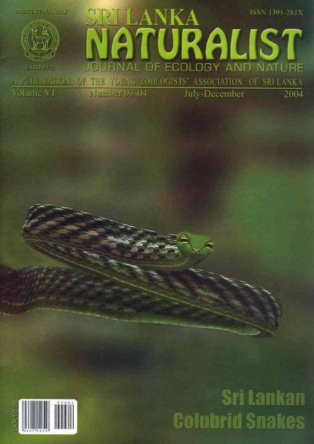 Sri Lankan Colubrid Snakes - Reptiles of Sri Lanka