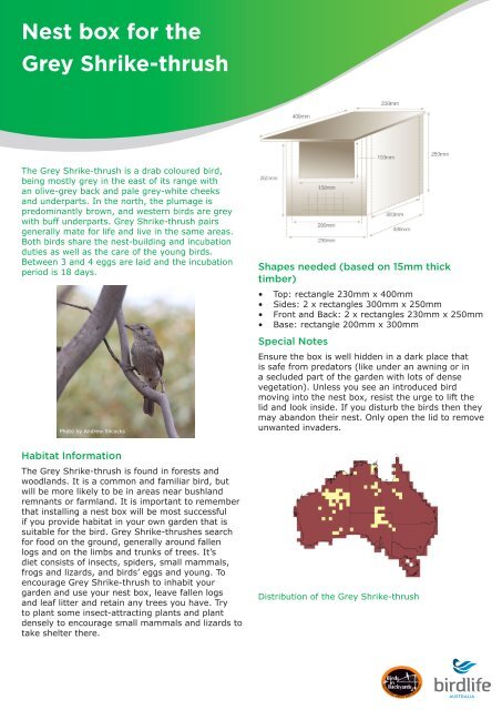 Nest box for the Grey Shrike-thrush - Birds in Backyards