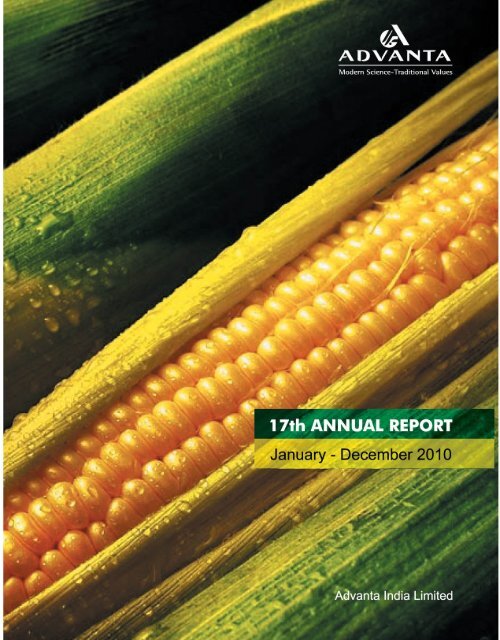 17 TH Annual Report - Advanta India Limited