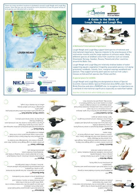 A Guide to the Birds of Lough Neagh and Lough Beg