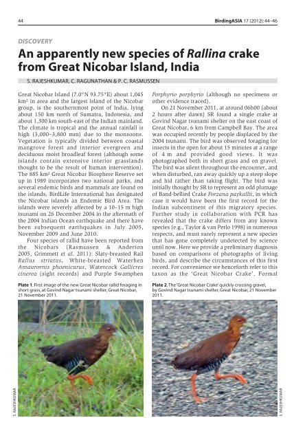 New species of Rallina crake from Great Nicobars - Conservation India