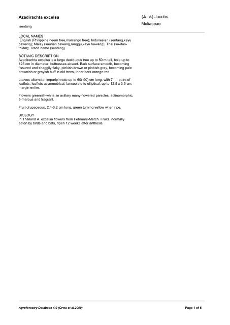 Azadirachta excelsa Meliaceae - World Agroforestry Centre