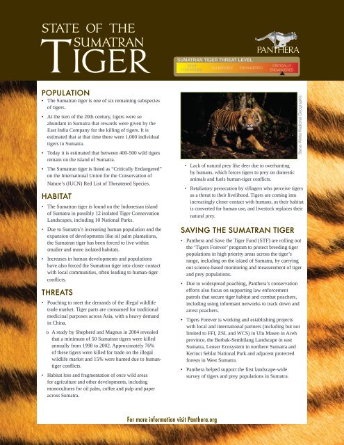 Sumatran Tiger Report Card - Panthera