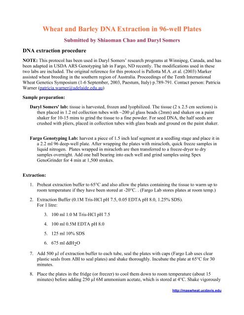 Wheat and Barley DNA Extraction in 96-well Plates - MASWheat