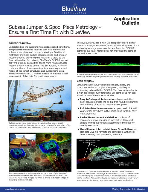 Subsea Jumper & Spool Piece Metrology - BlueView Technologies ...