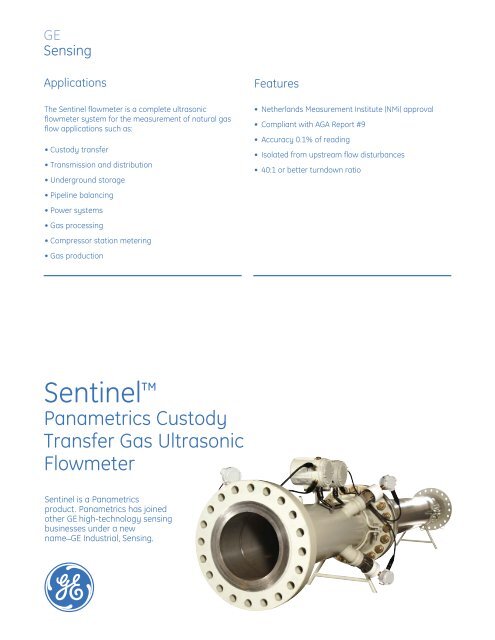 GE Industrial Sensing Sentinel™ ultrasonic flowmeter