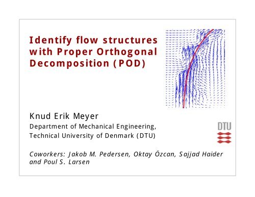 Identify flow structures with Proper Orthogonal ... - DANSIS