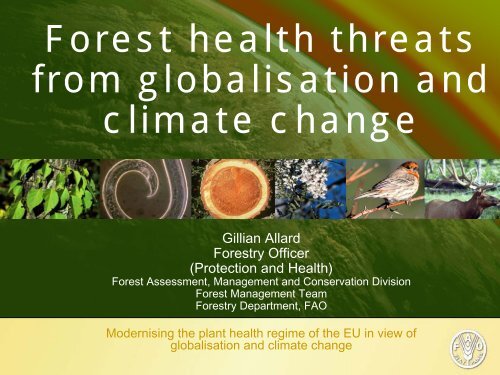 Forest health threats from globalisation and climate change - IMPACT