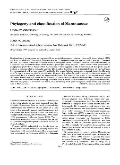 Phylogeny and classification of Marantaceae - CNCFlora