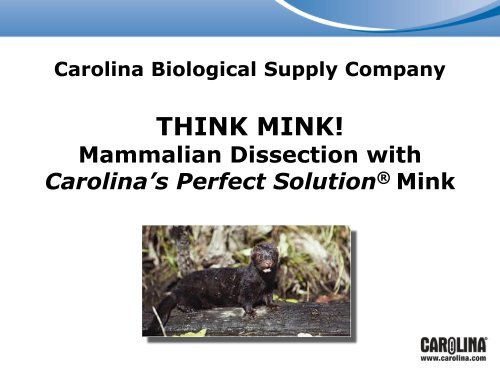 THINK MINK! - Carolina Biological