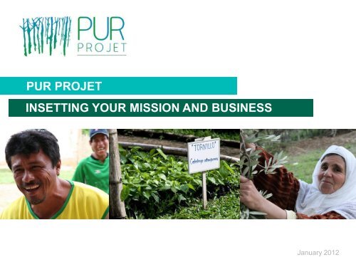 Presentation Pur Projet & Insetting