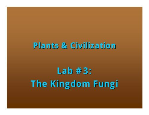 Lab #3: The Kingdom Fungi