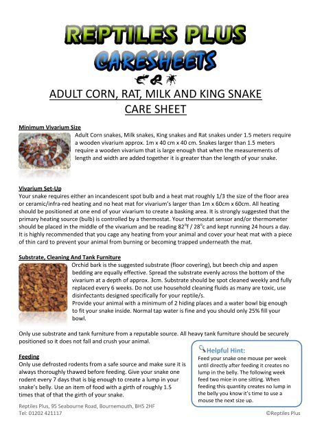 adult corn, rat, milk and king snake care sheet - Reptiles Plus