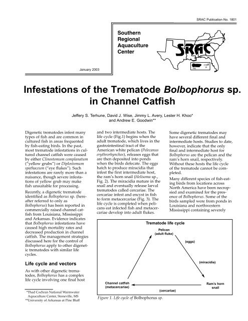Infestations of the Trematode Bolbophorus sp - SRAC Fact Sheets