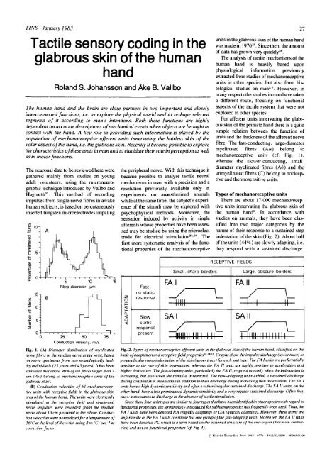 Tactile sensory coding in the glabrous skin of the human hand