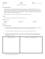 Moss Fern Worksheet
