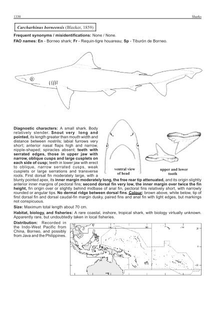 Carcharhinidae 1329 Carch