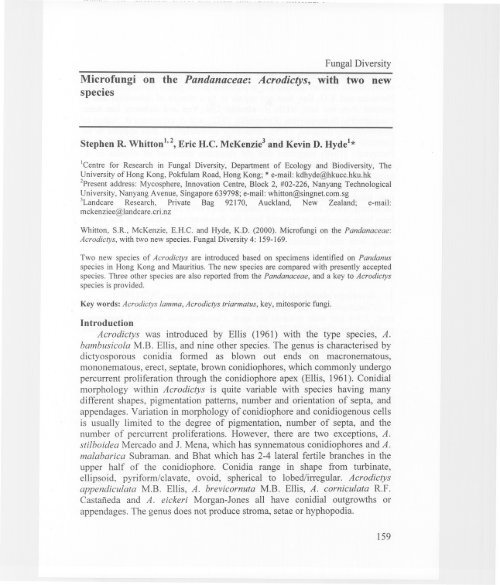 Microfungi on the Pandanaceae: Acrodictys, with ... - Fungal diversity