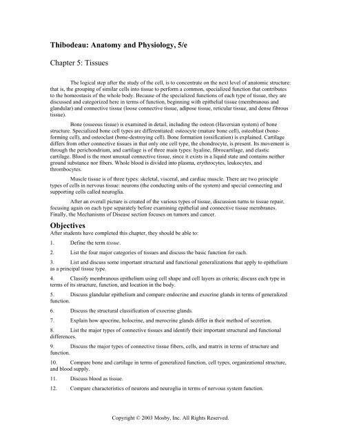 Thibodeau: Anatomy and Physiology, 5/e Chapter 5: Tissues ...
