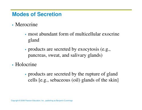 Modes of Secretion Merocrine Holocrine