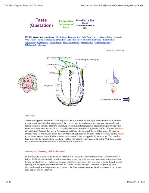 Taste Physiology Notes