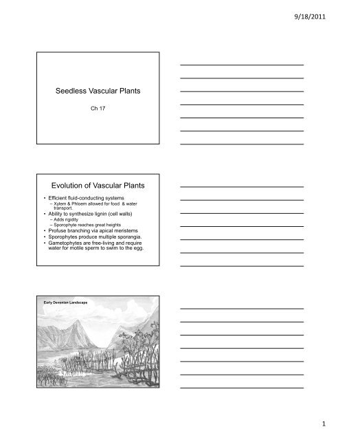 Seedless Vascular Plants PPT - CBU