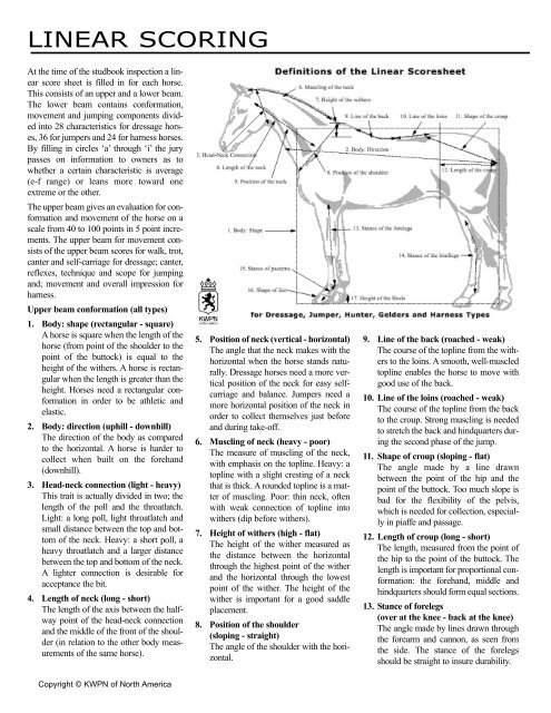 Linear Scoring PDF - KWPN